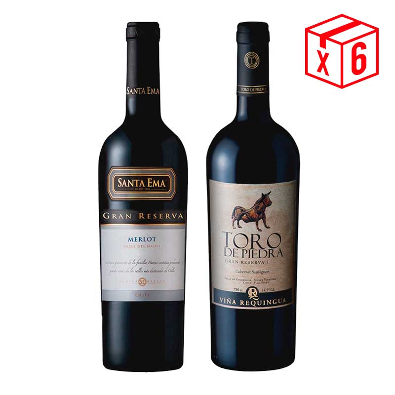 PACK SANTA Y TORO: (3) Santa Ema Gran Rsva Merlot + (3) Toro De Piedra ...